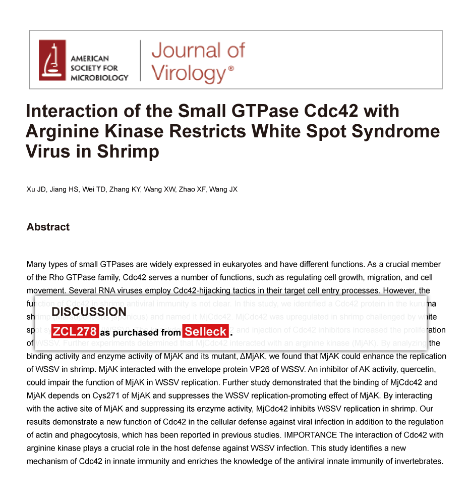 ZCL278 | Rho 抑制剂 | 现货供应 | 美国品牌 | 免费采购电话400-668-6834