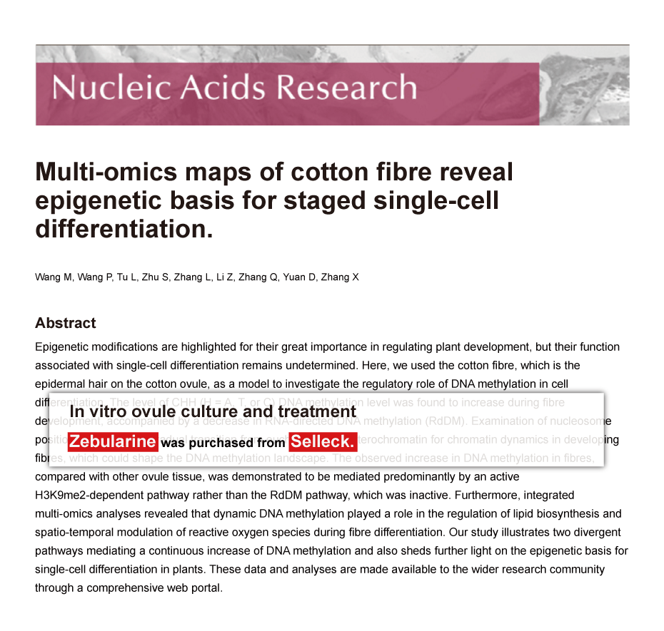 Zebularine (NSC 309132) | DNA Methyltransferase 抑制剂 | 现货供应 | 美国品牌 | 免费 ...