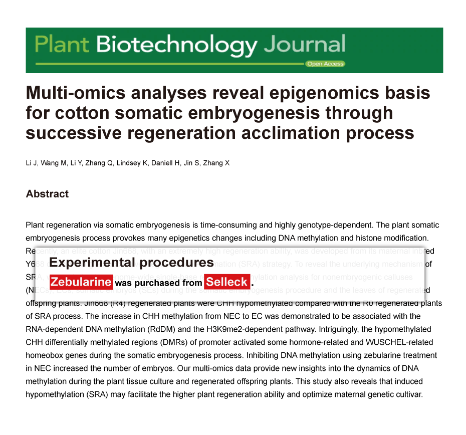 Zebularine (NSC 309132) | DNA Methyltransferase 抑制剂 | 现货供应 | 美国品牌 | 免费 ...