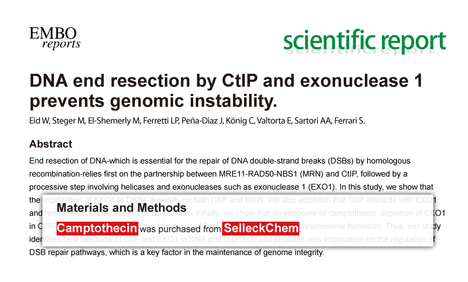 Camptothecin | 购买ADC Cytotoxin 抑制剂 - Selleck