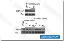 AZD5438 | 购买CDK 抑制剂 - Selleck