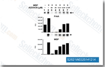 AZD5438 | 购买CDK 抑制剂 - Selleck