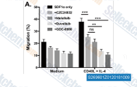 Apitolisib (GDC-0980) | 购买PI3K 抑制剂 - Selleck