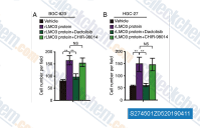 CHIR-98014 | 购买GSK-3 抑制剂 - Selleck