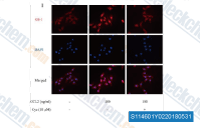 Cyclopamine | Hedgehog/Smoothened 抑制剂 | 现货供应 | 美国品牌 | 免费采购电话400-668-6834