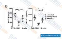 Syk抑制剂 | Syk Inhibitor
