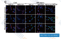FCCP | ATPase 抑制剂 | 现货供应 | 美国品牌 | 免费采购电话400-668-6834