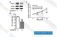 Lonafarnib (SCH66336) | 购买Transferase 抑制剂 - Selleck