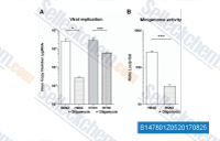 Oligomycin A | 购买ATPase 抑制剂 - Selleck