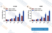 SKL2001 | Wnt/beta-catenin 抑制剂 | 现货供应 | 美国品牌 | 免费采购电话400-668-6834