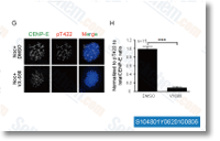 Tozasertib (VX-680, MK-0457) | 购买Aurora Kinase 抑制剂 - Selleck