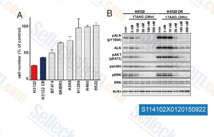 HSP (e.g. HSP90)抑制剂 | HSP (e.g. HSP90) Inhibitor