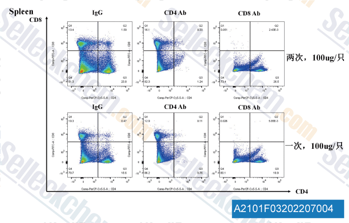 Anti-mouse CD4-InVivo Datasheet
