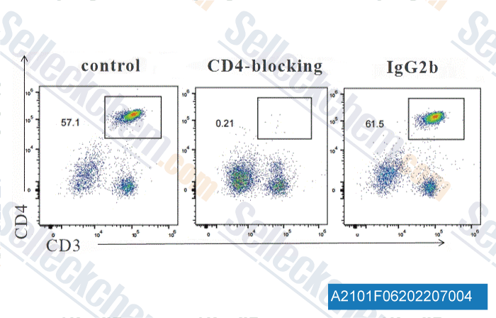 Anti-mouse CD4-InVivo Datasheet