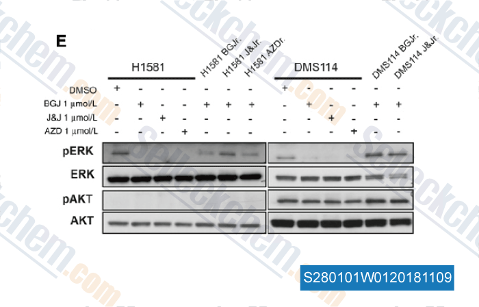 AZD4547 | FGFR 抑制剂 | 现货供应 | 美国品牌 | 免费采购电话400-668-6834