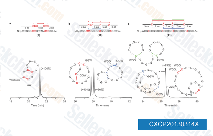 Peptide Products | selleck.cn