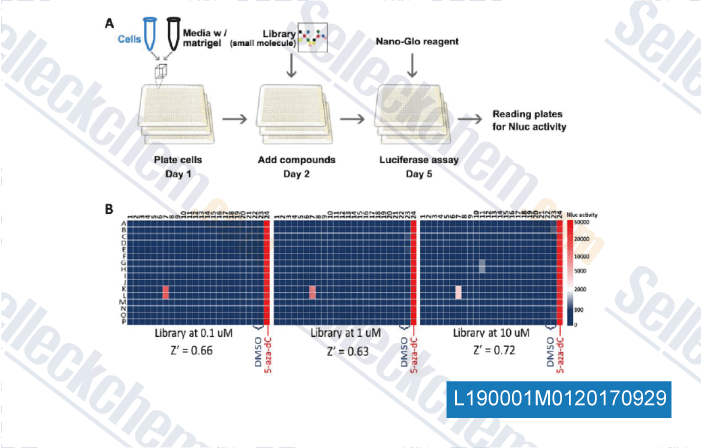 Anti-diabetic Compound Library | 96/384 Well