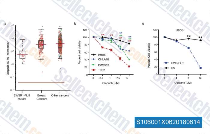 Olaparib (AZD2281, Ku-0059436) | PARP 抑制剂 | 现货供应 | 美国品牌 | 免费采购电话400-668 ...