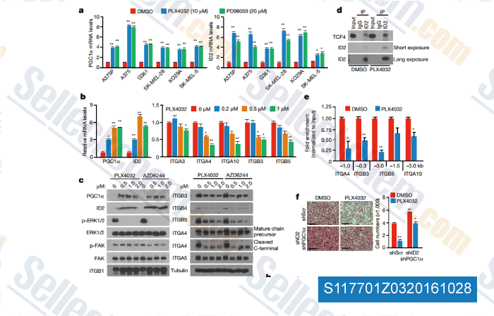 MEK抑制剂 | MEK Inhibitor