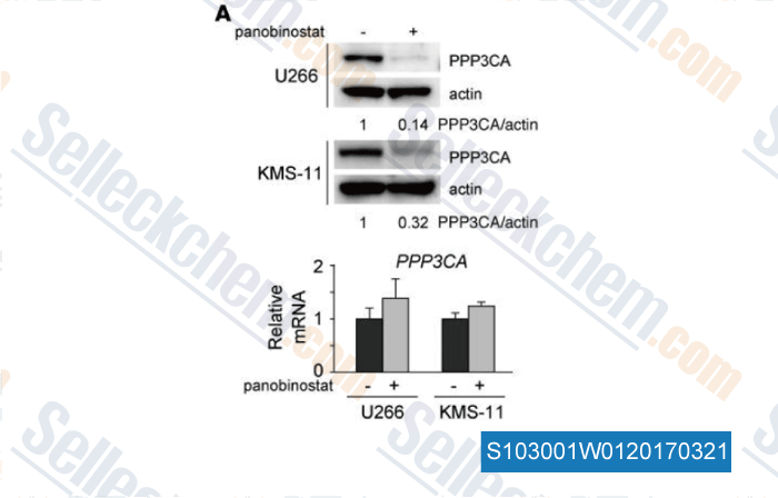 Panobinostat (LBH589) | HDAC 抑制剂 | 现货供应 | 美国品牌 | 免费采购电话400-668-6834