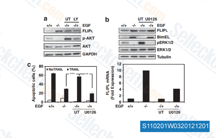 U0126-EtOH | MEK 抑制剂 | 现货供应 | 美国品牌 | 免费采购电话400-668-6834