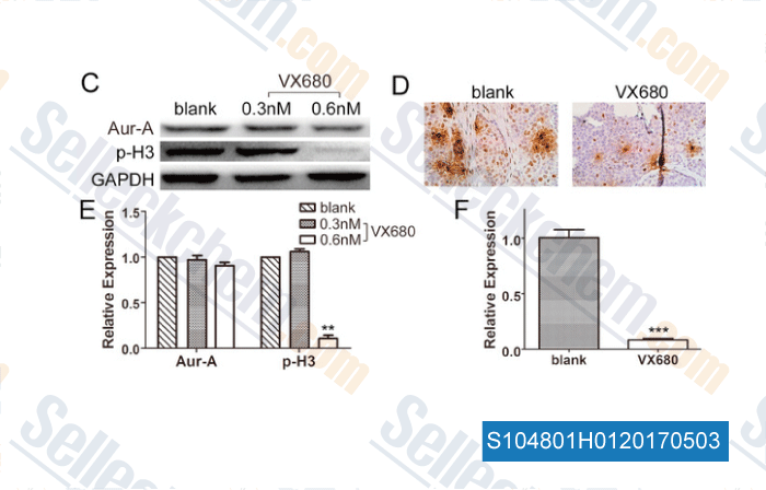 Tozasertib (VX-680, MK-0457) | 购买Aurora Kinase 抑制剂 - Selleck