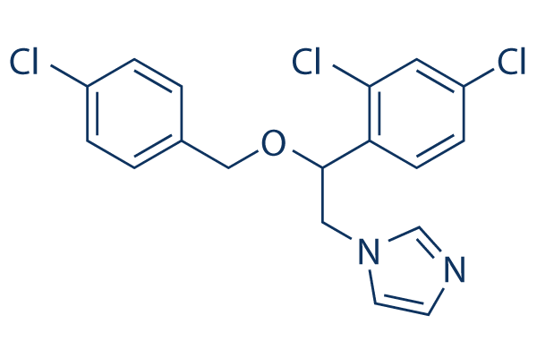 购买Econazole | Bacterial chemical | 价格 | IC50 | 只能用于研究
