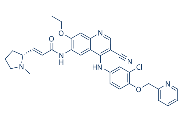 Pyrotinib (SHR-1258) | EGFR 抑制剂 | 现货供应 | 美国品牌 | 免费采购电话400-668-6834
